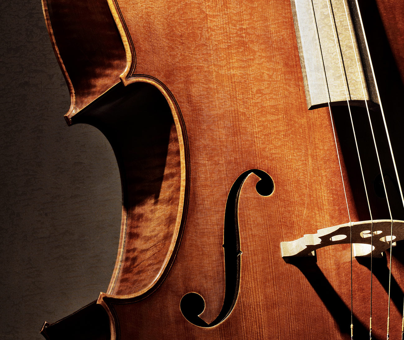 Deep Solo Strings Bundle - Violin, Viola, Cello & Bass for Kontakt VST ...