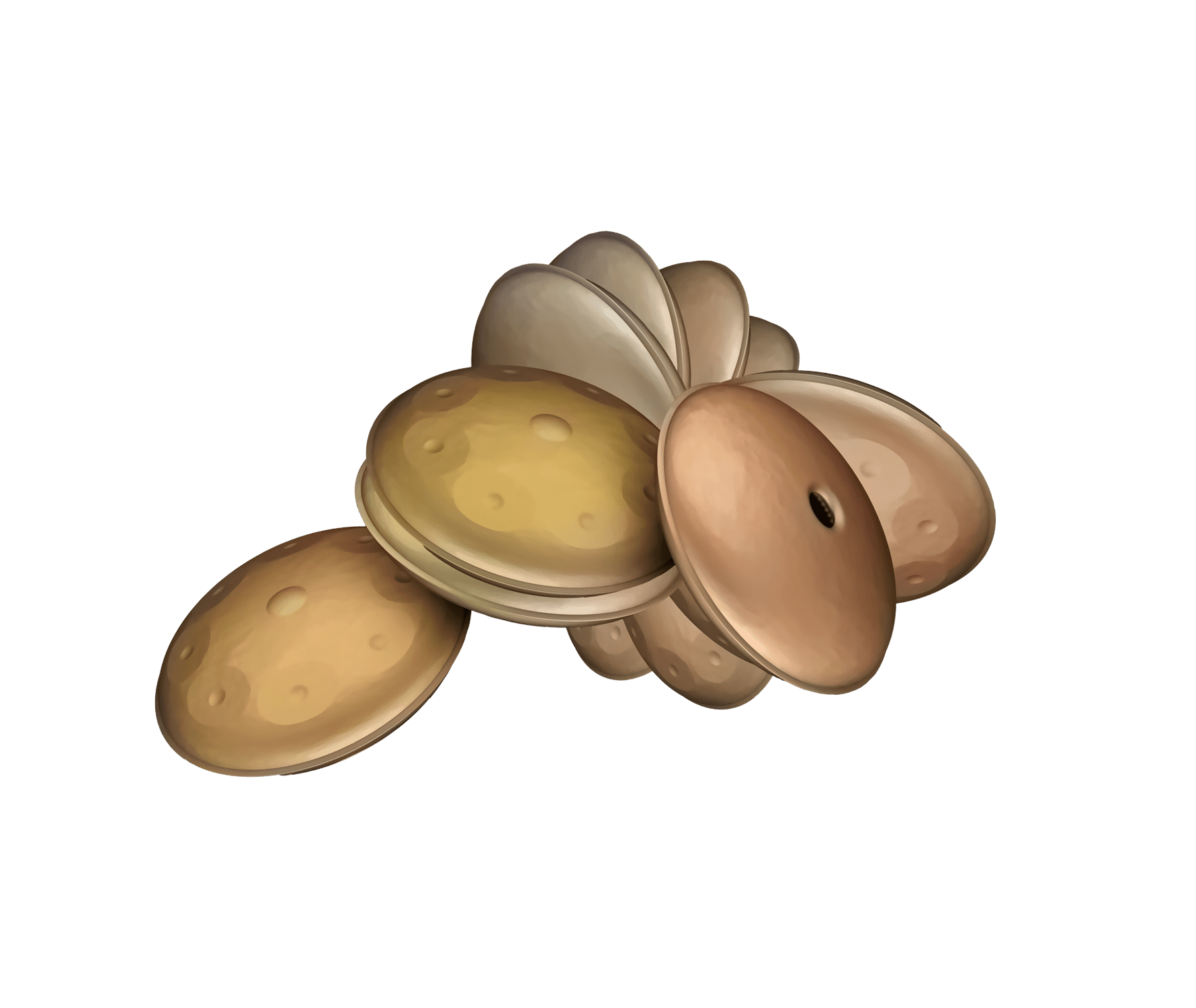 Aura Studio Exotic Percussion - 8Dio Tonal Mallet Percussion Kontakt ...