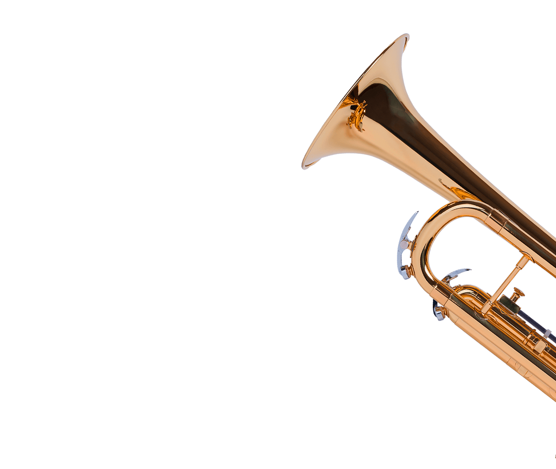 Fire Trumpet - 8Dio Solo Latin Trumpet for Kontakt VST/AU/AAX – 8dio.com